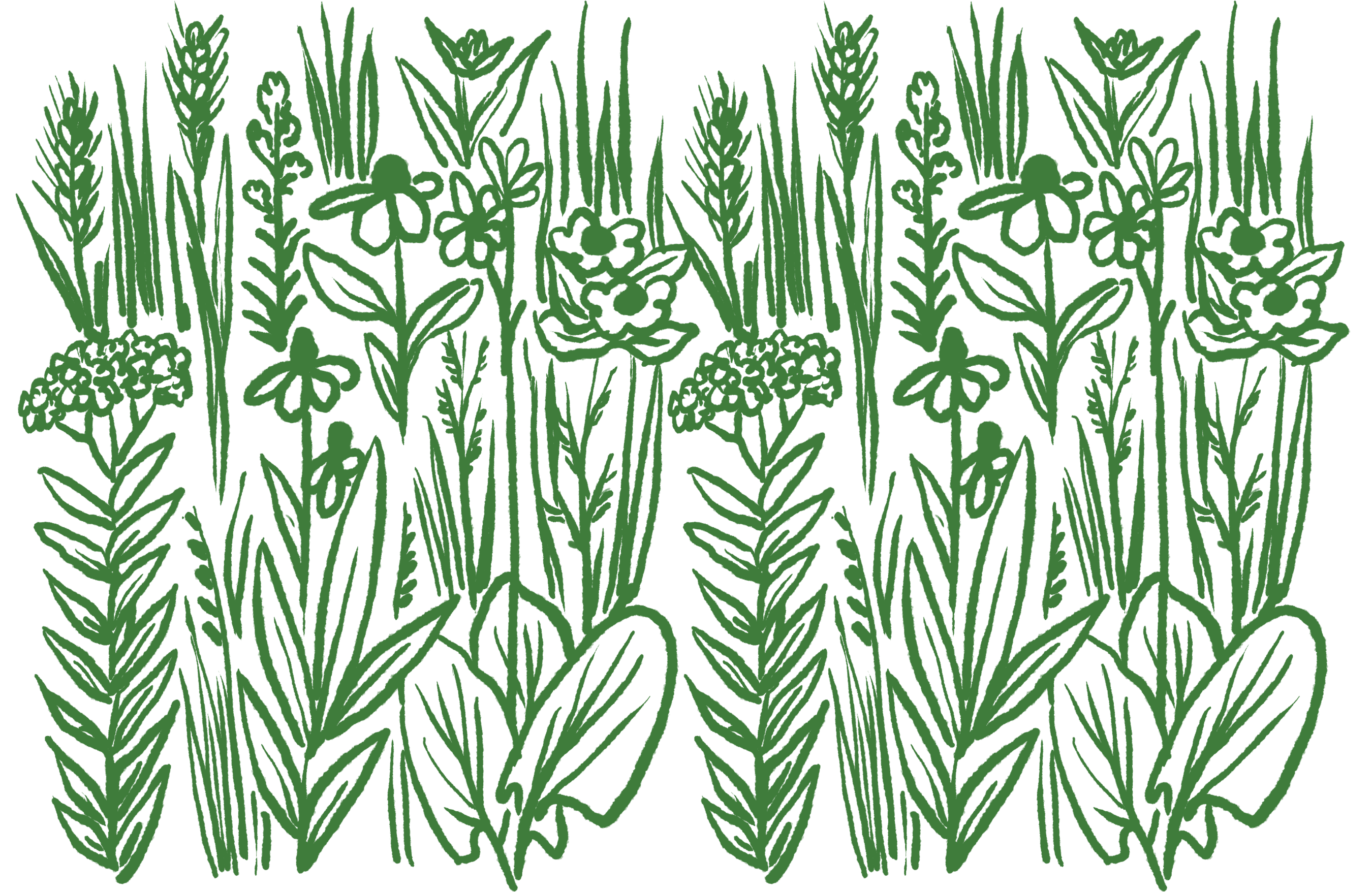 The Science – Rethinking Lawns